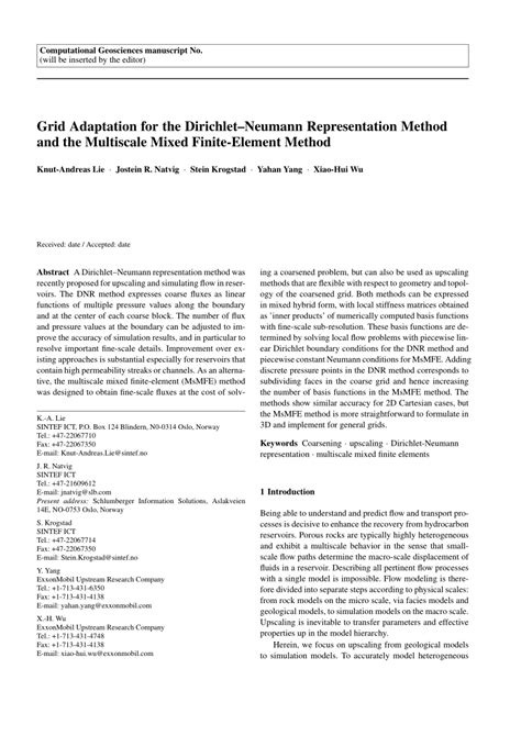 pdf grid adaptation for the dirichlet neumann representation method and the multiscale mixed