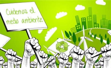 Origen del ecologismo cómo nace el movimiento ecologista
