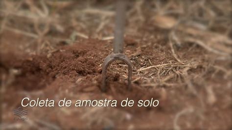 Coleta de amostra de solo para análise Como fazer YouTube