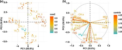 Bacterial Mediated Salinity Stress Tolerance In Maize Zea Mays L A