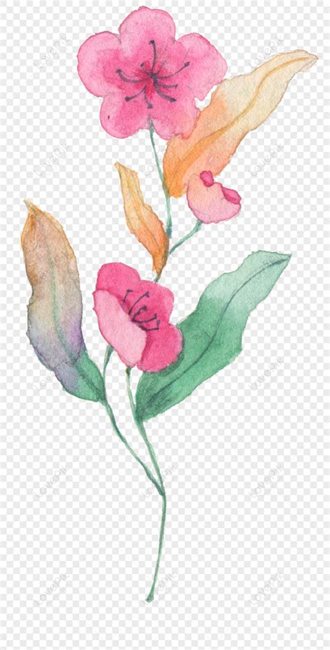 Recopilación imagen 100 flores en acuarela png Abzlocal mx