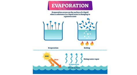 Best Practice For Evaporation Processes