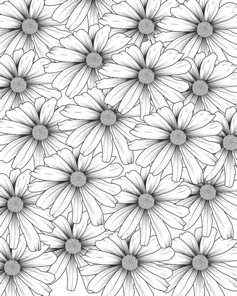 Free Printable Daisy Coloring Page Daisy Daisies Flowercoloringpage