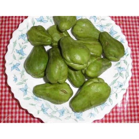 Jual Labu Siam Kecil 500gr Shopee Indonesia