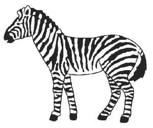 45 Desenhos De Zebra Para Imprimir E Pintar Colorindo Org