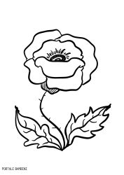 Disegni Papaveri Da Colorare