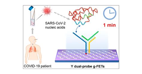 Direct SARS CoV 2 Nucleic Acid Detection By Y Shaped DNA Dual Probe