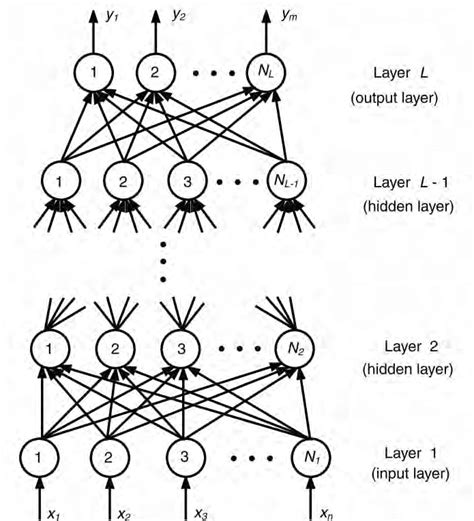 multilayer perceptron mlp neural network structure download scientific diagram