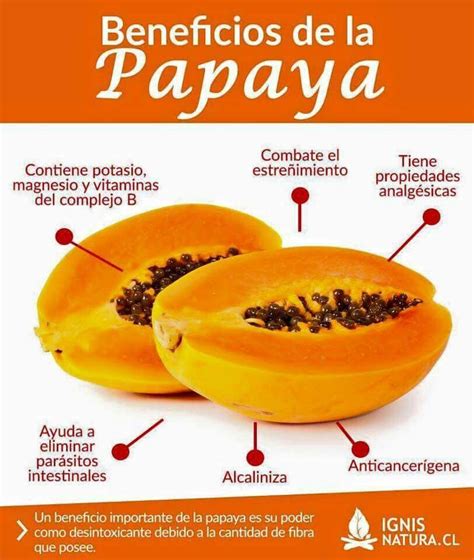 Beneficios De La Papaya Beneficios De La Papaya Beneficios De La