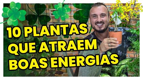 10 PLANTAS Que Atraem SORTE E BOAS ENERGIAS YouTube