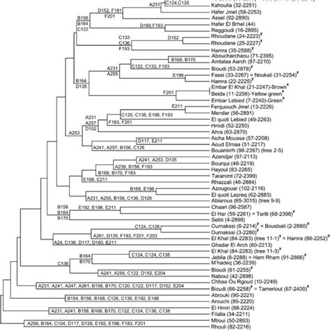 simple sequence repeat ssr identification key based on 52 fig download scientific diagram