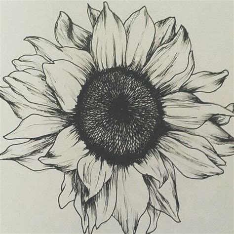 Lista 100 Foto Plantillas Dibujos De Girasoles Para Bordar Lleno