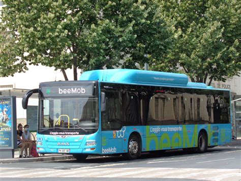 Man Lion S City A Gnv N Tc Infos