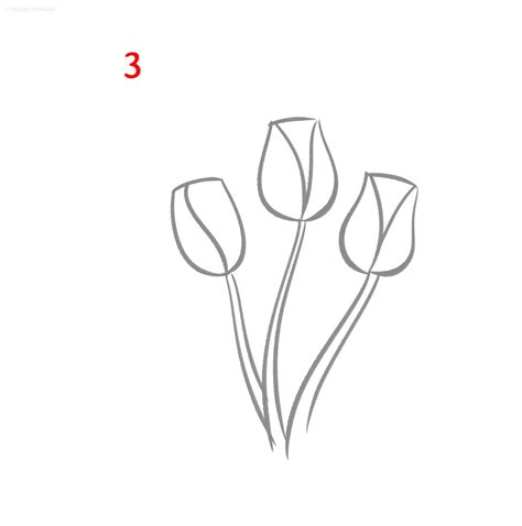 Tulpe Zeichnen Schritt F R Schritt Anleitung Mit Bildern Tulpe Malen