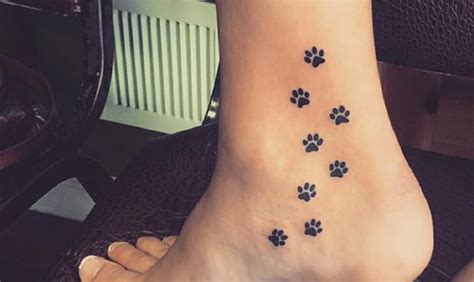 Tatuajes de huellas de gato diseños muy originales para llevar a tu