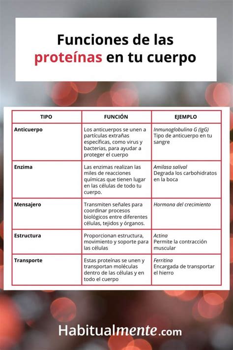 rápido volverse loco Al frente amazon funcion de las proteinas en el