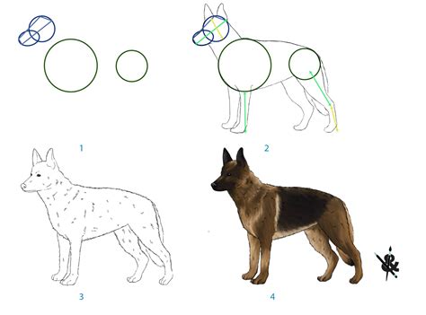 Comment Dessiner Un Chien Crayons Et Pinceaux
