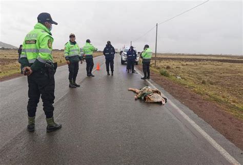Asesinan a joven mujer y arrojan cadáver en carretera Juliaca Coata