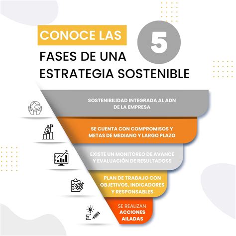 5 Fases De Una Estrategia Sostenible Calidoscopi Consultoria