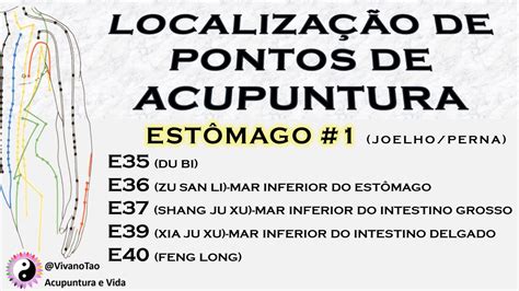 LOCALIZAÇÃO PONTOS DE ACUPUNTURA ESTÔMAGO E36 E37 E39 E40 YouTube