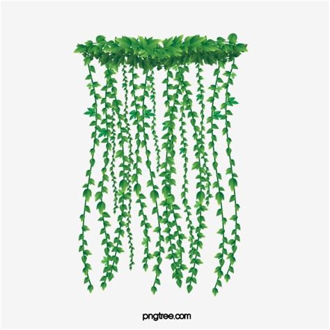 Hanging Plant Vector Design Images Hanging Plants Plants Clipart