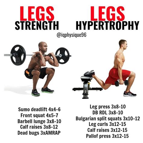 Push Pull Legs Weight Training Workout Schedule For 7 Days GymGuider