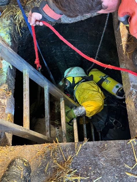 Bilder Zum Einsatz Thl Gro Tierrettung Vom Freiwillige