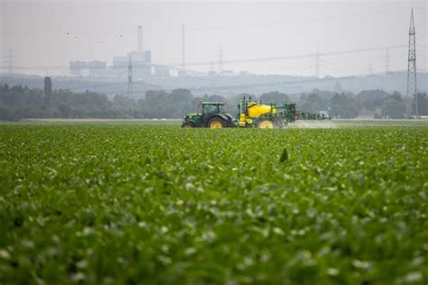 Glifosato el polémico herbicida permitido en Europa cómo afecta a