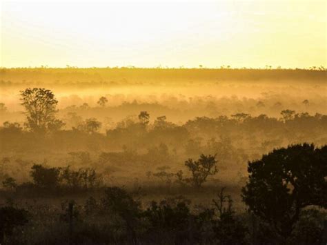 Estudo propõe formas para conservar áreas úmidas do Cerrado
