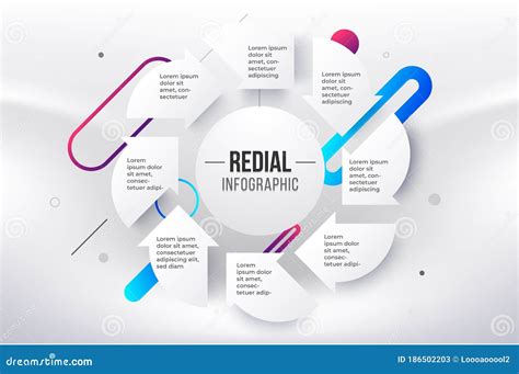 Radial Infographic Template 8 Step Circle Infographic Stock Vector