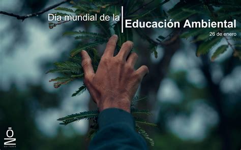 D A Mundial De La Educaci N Ambiental El Impacto Ambiental Del Libro