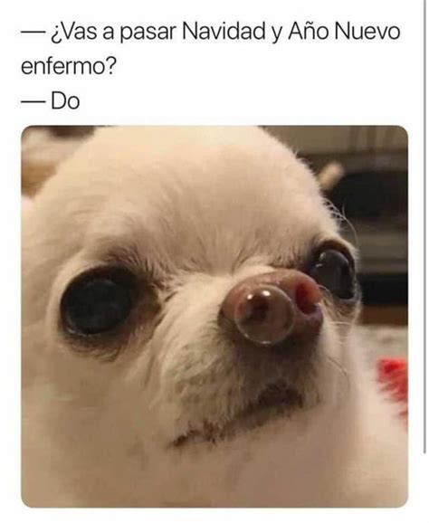 Los mejores 20 memes de Año Nuevo 2024 para WhatsApp