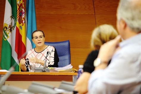 El Pleno Aprueba Inicialmente El Presupuesto Municipal De Que