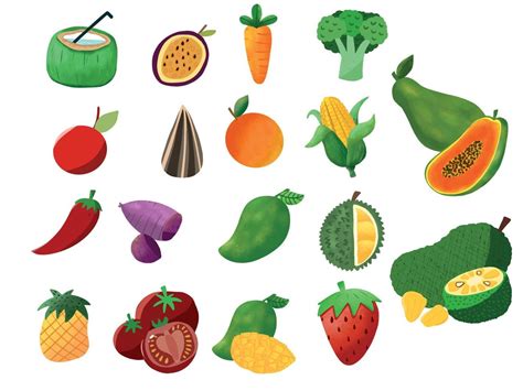 Fruit And Vegetables Illustration 10722677 Vector Art At Vecteezy