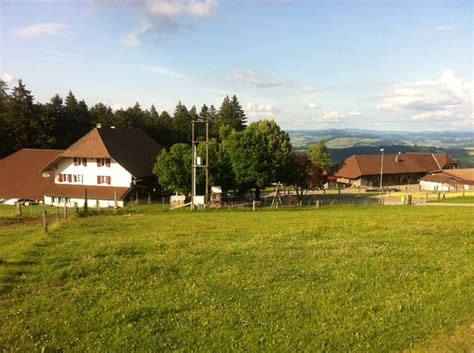 Bütschelegg 1056m Tourenberichte und Fotos hikr org