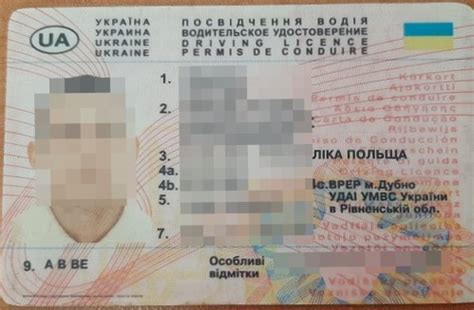 7 mężczyzn zatrzymanych przez Straż Graniczną Aktualności