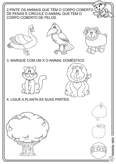 Atividade Avaliativa Natureza 2 Semestre Ideia Criativa Educação