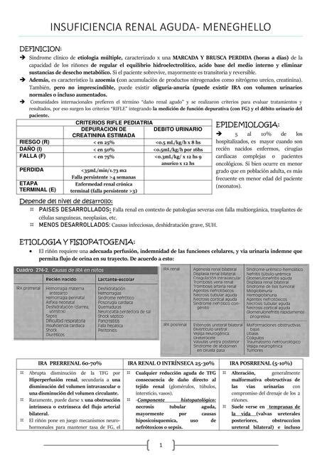 Insuficiencia Renal Aguda Medicina En La UNER UDocz