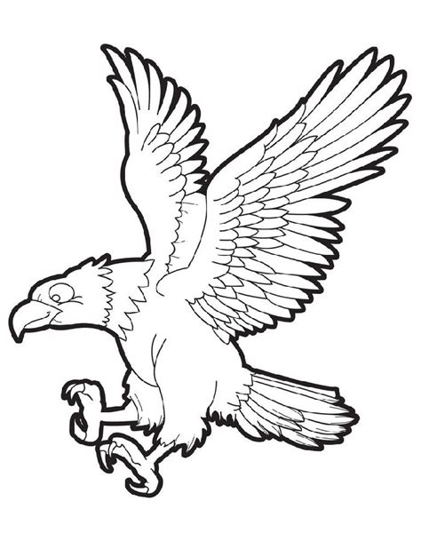 Bald Eagle Picture Coloring Page Coloringus