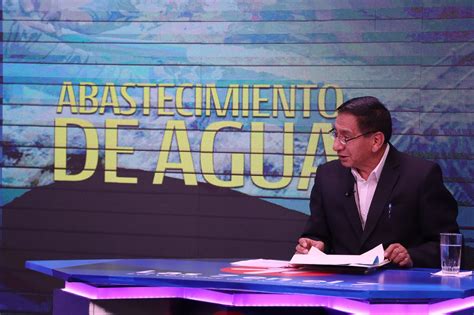 ABI Proyecto Pulmones Verdes busca plantar 1 5 millones de árboles