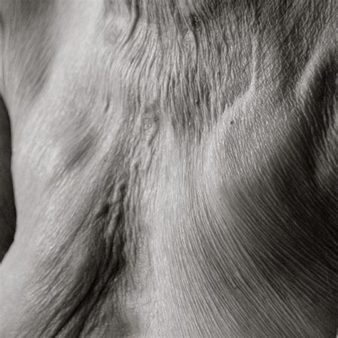 What The Human Body Looks Like At Years Of Age Demilked