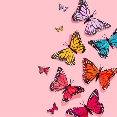 Share More Than 51 Aesthetic Butterfly Wallpaper Super Hot In Cdgdbentre