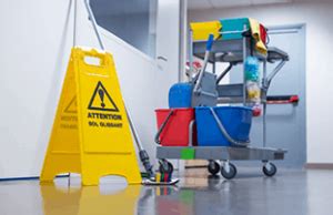 Curso Limpieza Y Puesta A Punto De Pisos Y Zonas Comunes En
