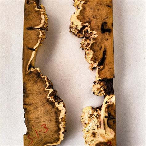 Burl Tree Ornaments Etsy