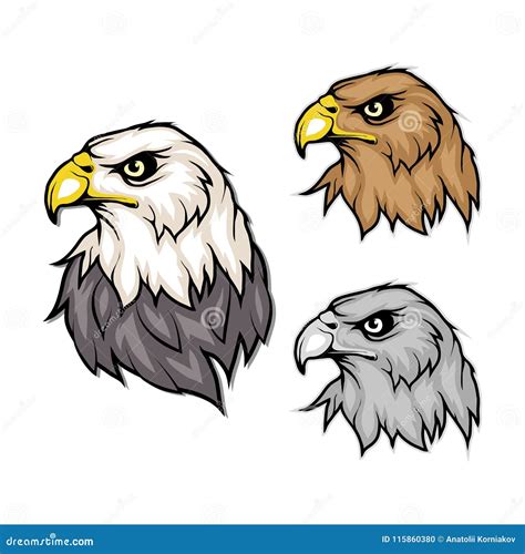 Aguila En Dibujo Adler Aguila Calva Dibujo Imagen Gratis En Pixabay