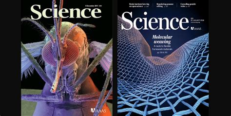 Los diez avances científicos de 2023 según la revista Science Guada