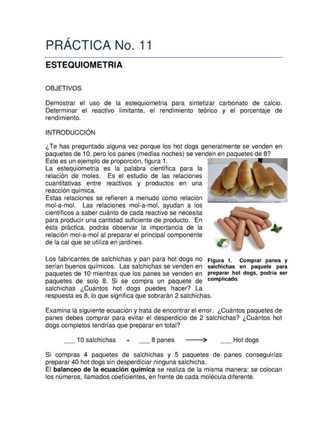 Pr Ãctica 11 Estequiometr Ã a PRÁCTICA No 11 ESTEQUIOMETRIA