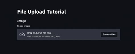 file upload download with streamlit