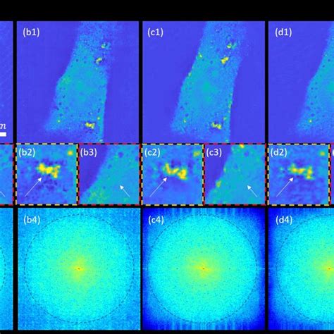 pdf deep learning approach to coherent noise reduction in optical diffraction tomography