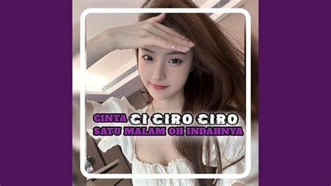 Cinta Satu Malam Remix Youtube Music